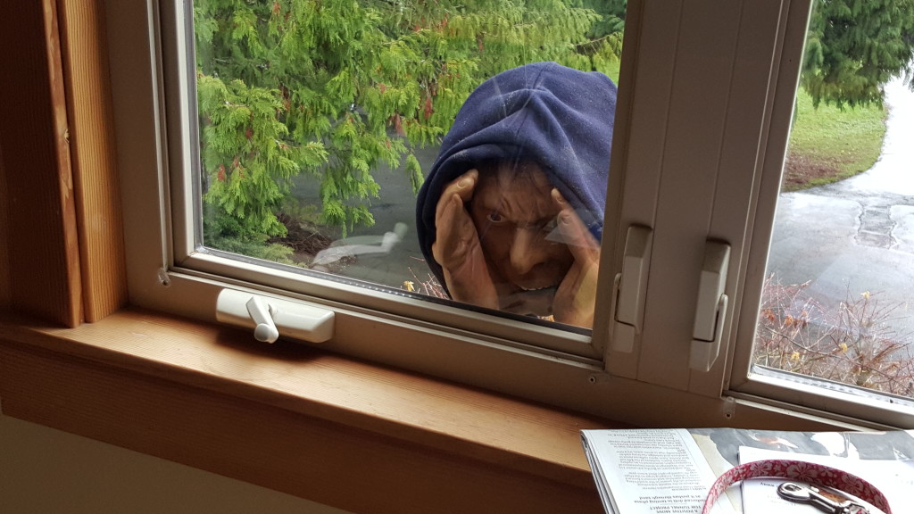 How Much Is That Creep In The Window? – Peculiar Podcast